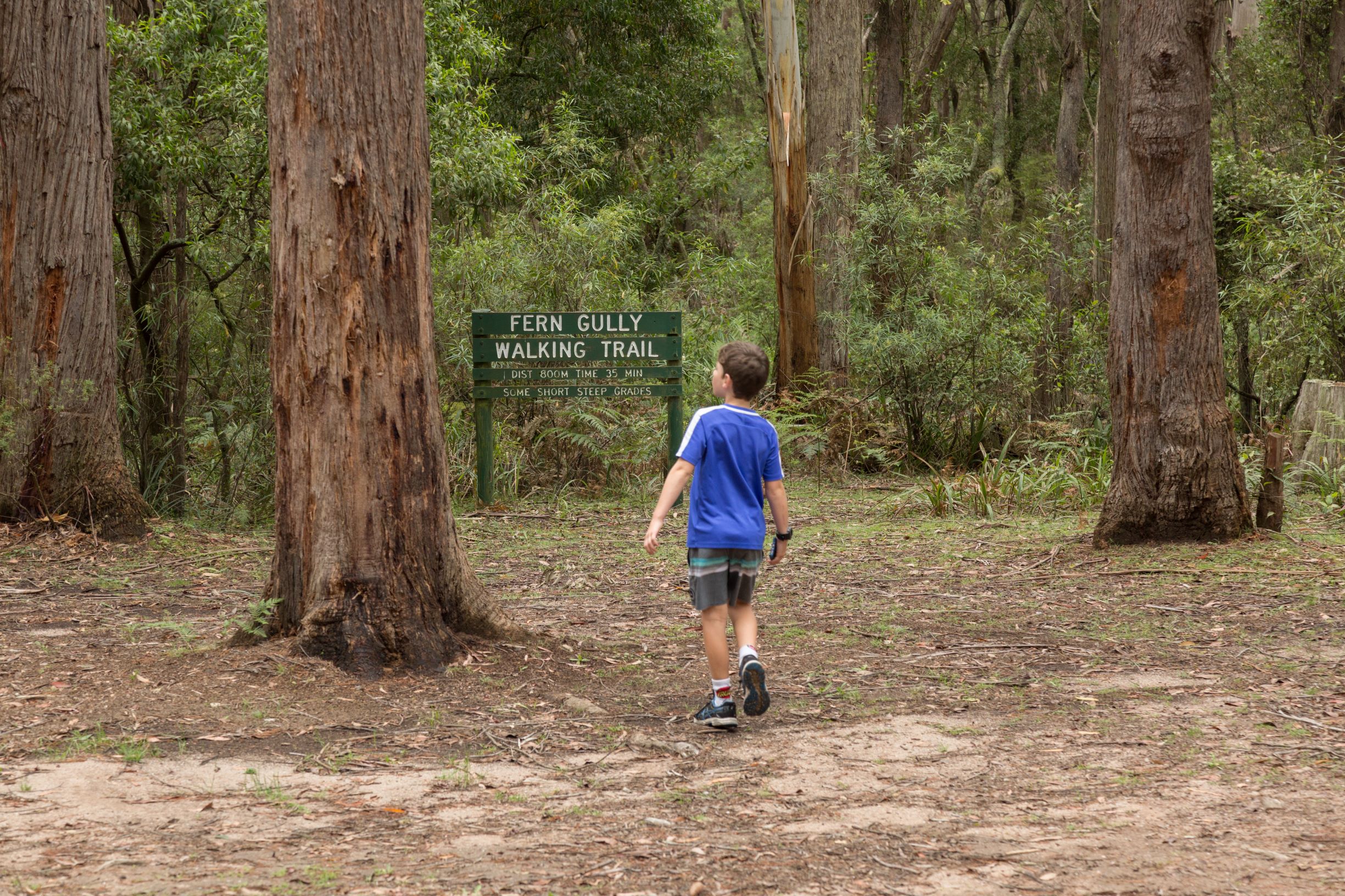 Tallaganda National Park | Queanbeyan Palerang