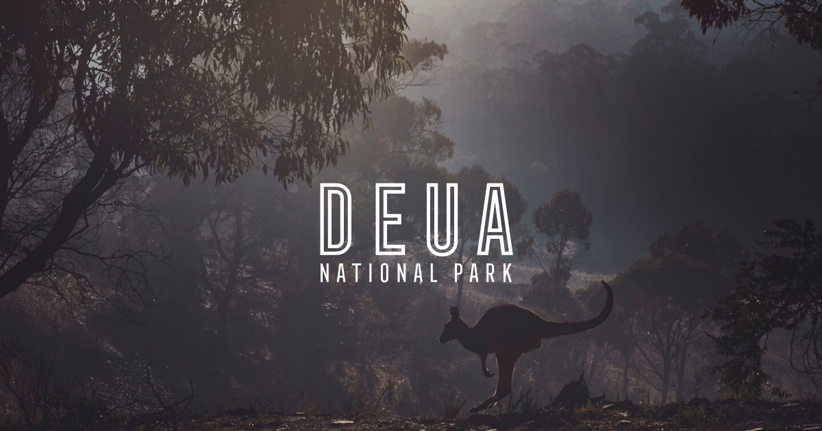Deua National Park | Queanbeyan Palerang