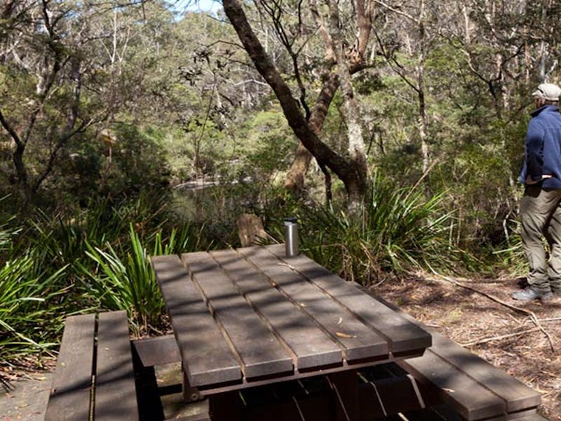 Monga National Park | Queanbeyan Palerang