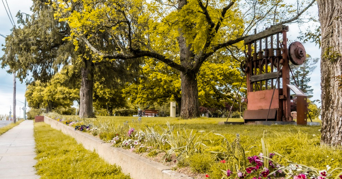 Local Guide to Braidwood: John Stahel of Braidwood Museum | Queanbeyan ...