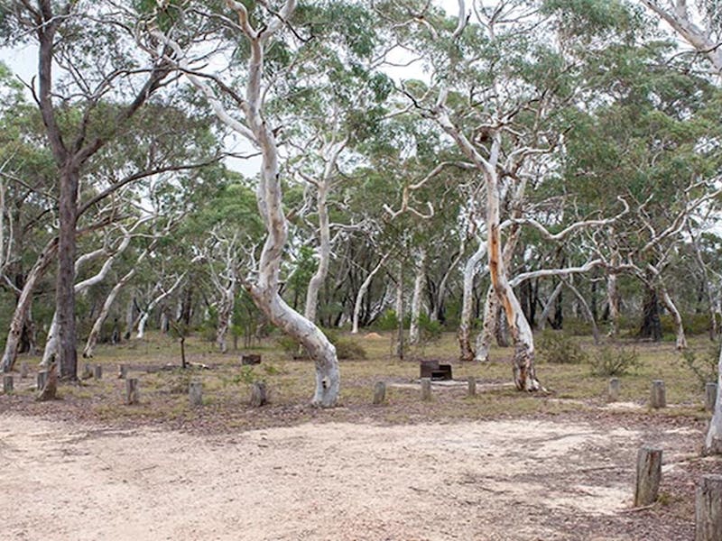 Wog Wog campground | Queanbeyan Palerang